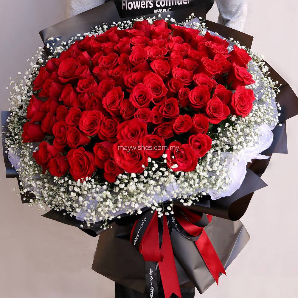 All Red Rose Flowers Images | Best Flower Site